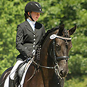 About TNT Equine Veterinary Clinic and it's veterinarians and staff.